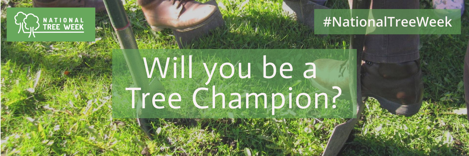 National Tree Week 23rd November to 1st December 2019