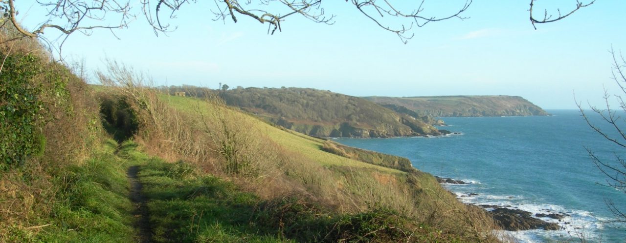 Coastal Walks & Porthluney Beach | Caerhays Estate, Cornwall