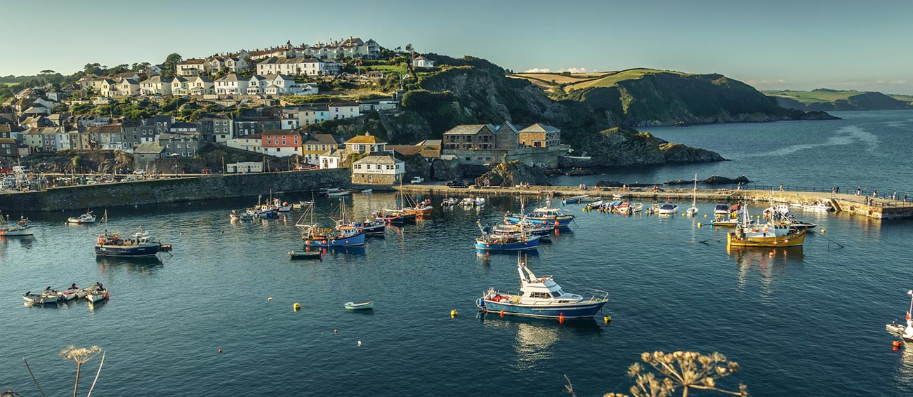 Summer Escapes in Cornwall… | Caerhays Estate