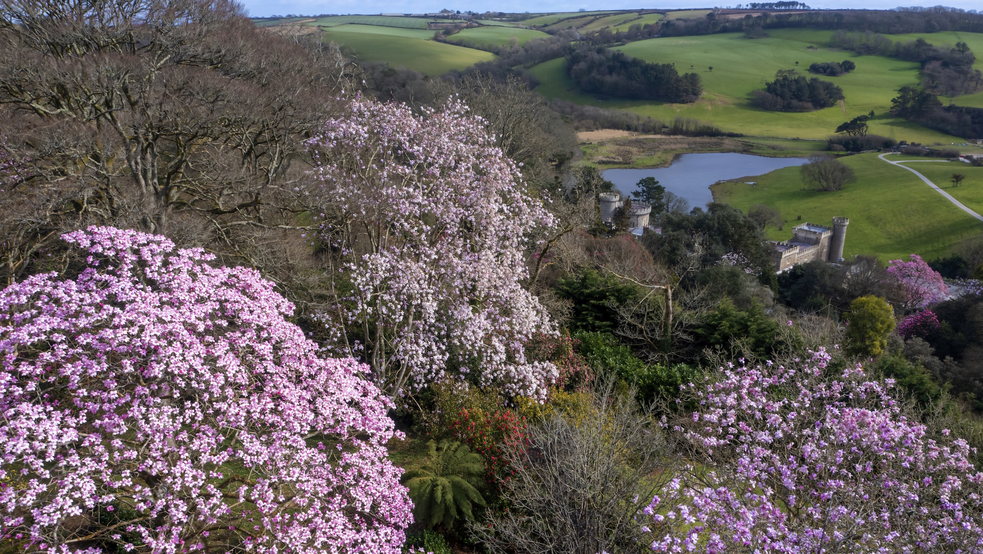 Visitor Information and Opening Hours | Caerhays Estate, Cornwall